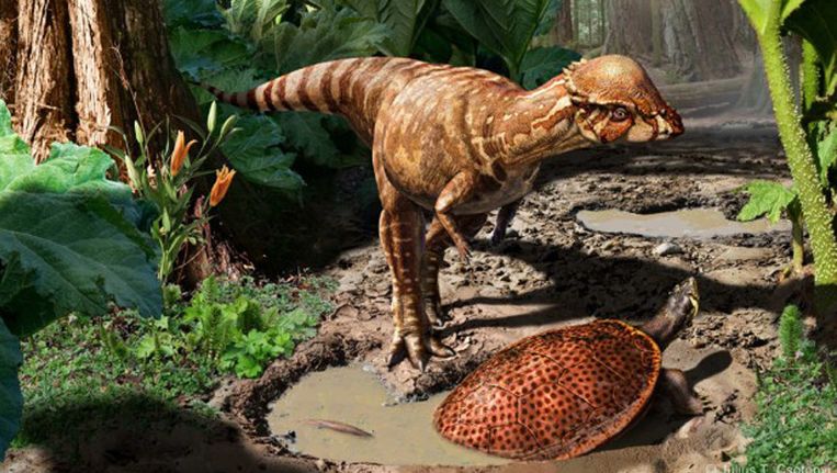 Dino ontdekt die kopstoten uitdeelde met harde schedel | Trouw