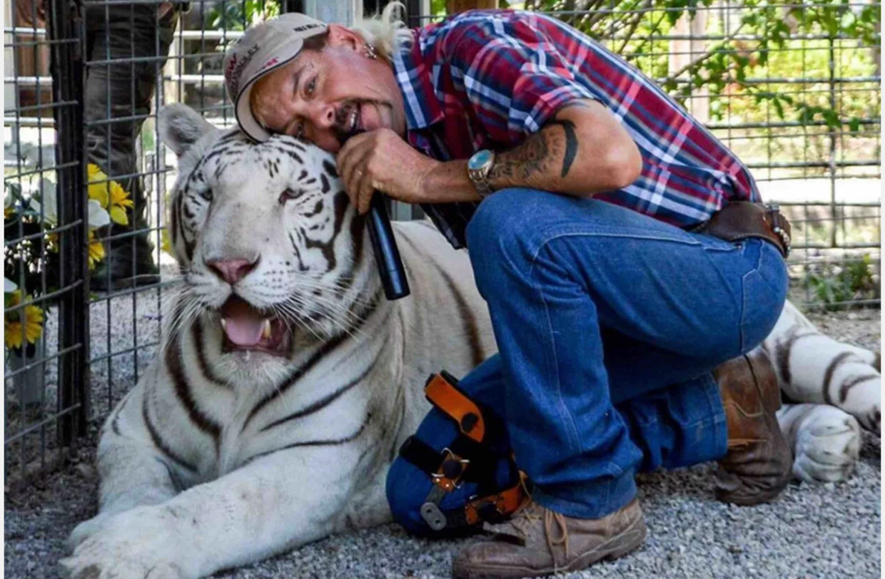 ‘Tiger King’ op Netflix is zo gestoord dat je wel moet blijven kijken ...