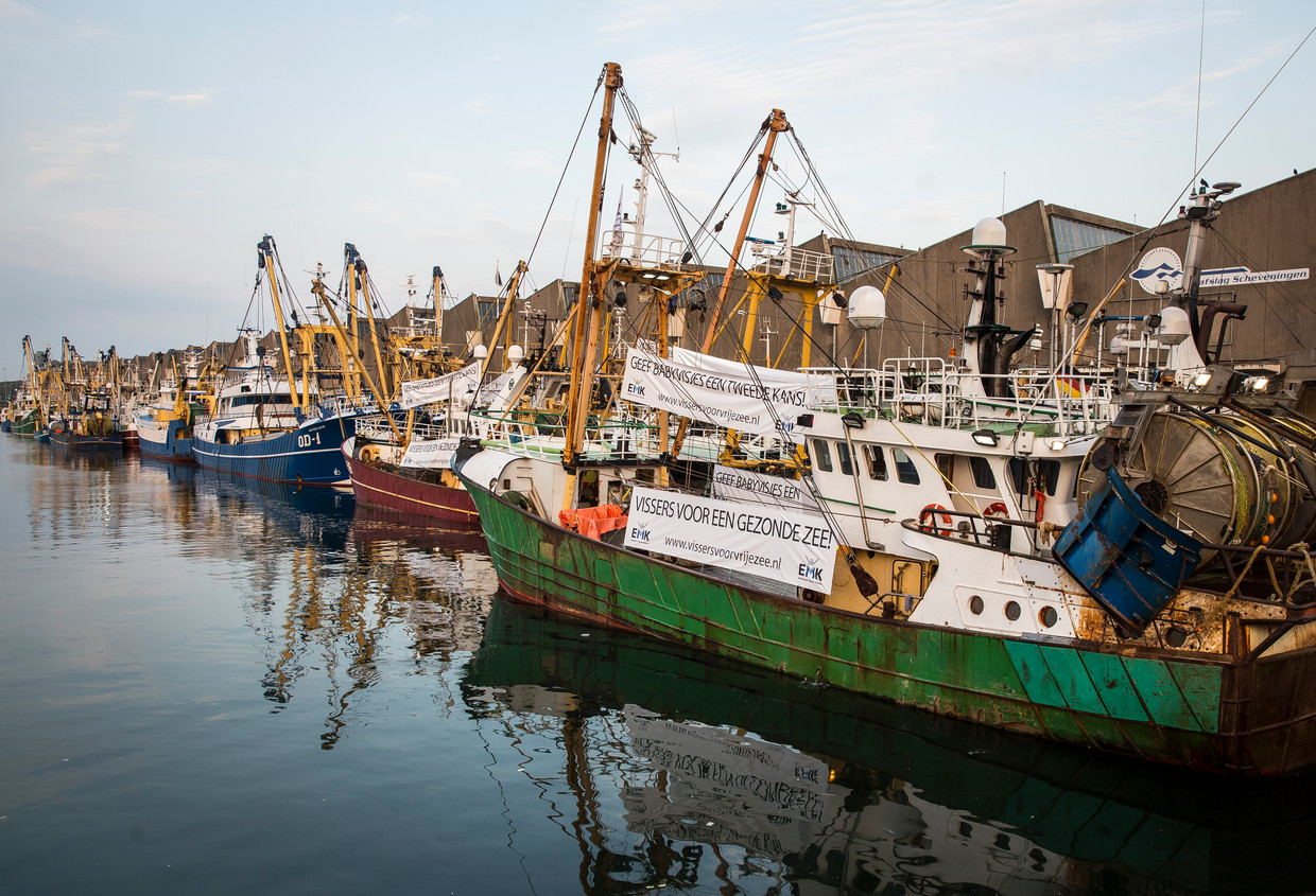 Britse vissers kunnen straks meer vis vangen, maar zijn bij een harde ...