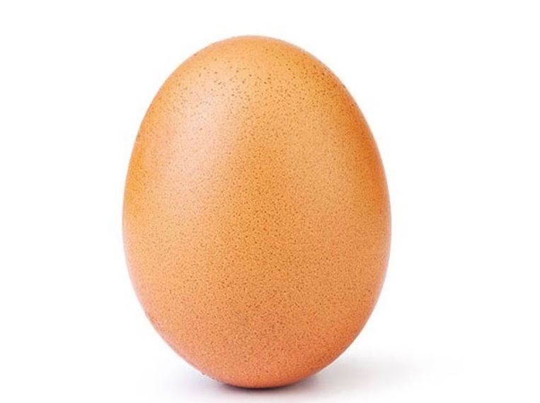 Eugene, het ei op de populairste instagramfoto ooit, breekt lans voor ...
