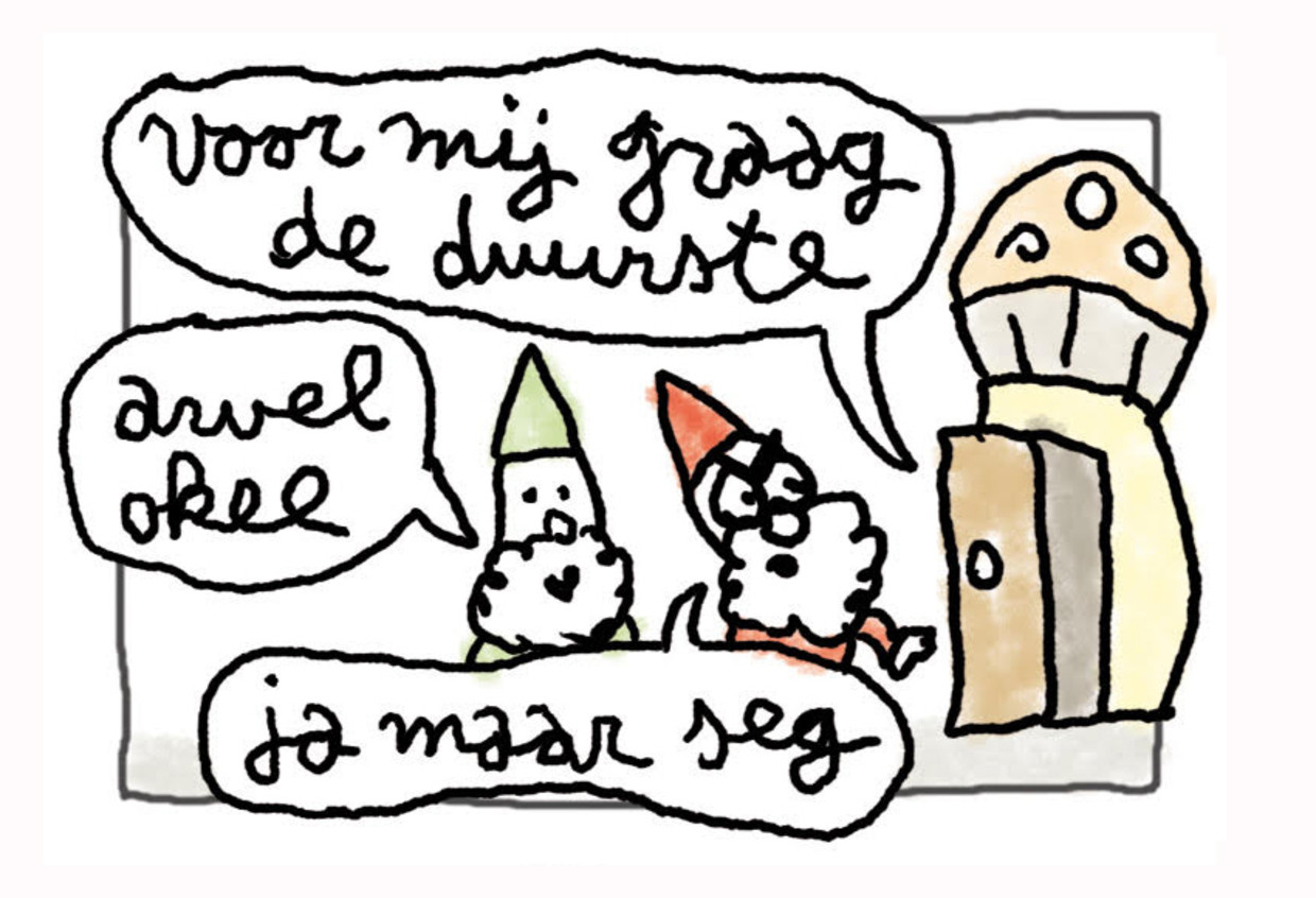 10 jaar na het laatste avontuur: Kabouter Wesley, de superéénmalige ...