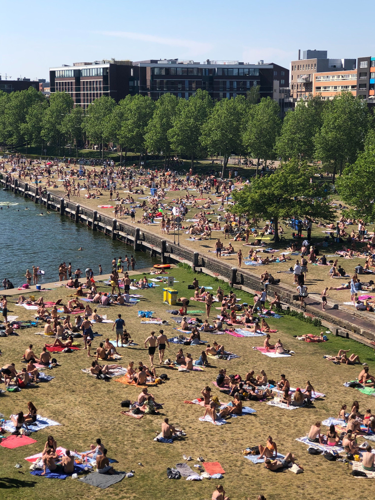 ‘De Bogortuin is een Napolitaanse vuilnisbelt’ | Het Parool