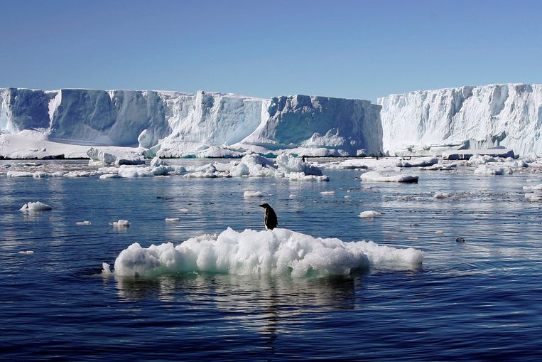 Snelheid waarmee de ijskap van Antarctica smelt is drastisch toegenomen ...