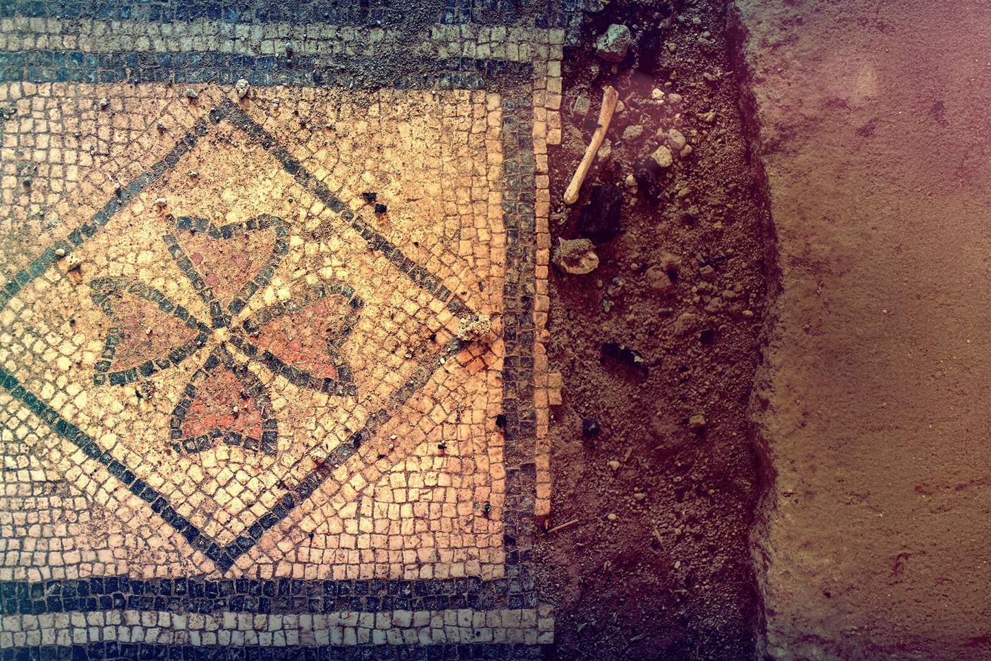 Pompeii: the new dig: house of treasures - VRT Canvas - woensdag 24 ...