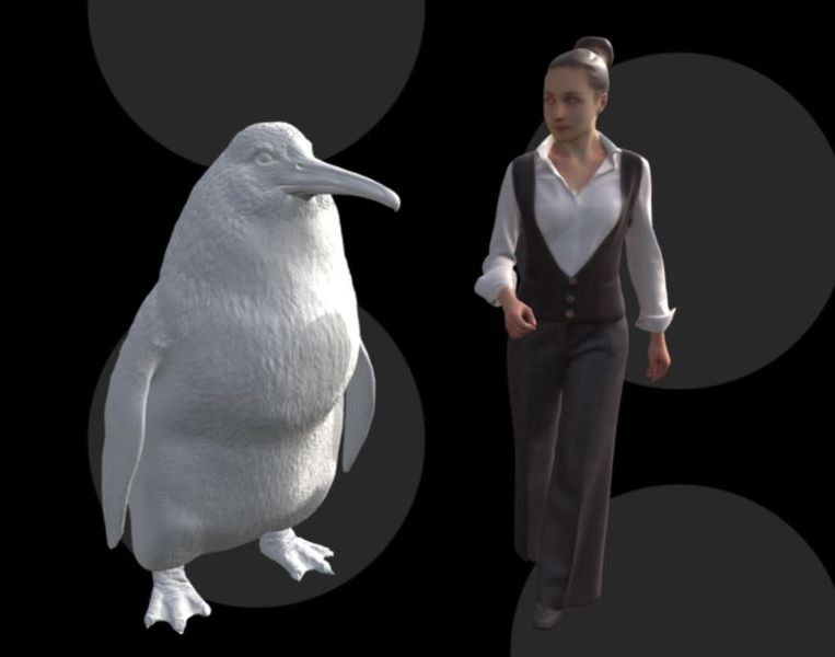 Giant Paleocene penguin discovery in New Zealand | Dear Kitty. Some blog