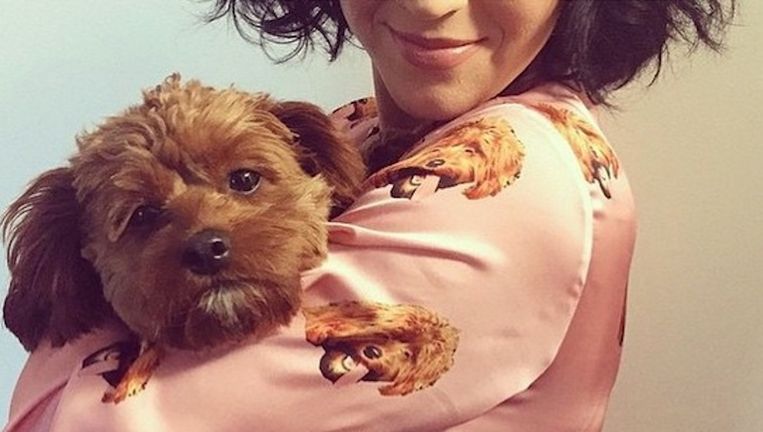 Dít draagt Katy Perry in bed | Joepie | Showbizz | HLN
