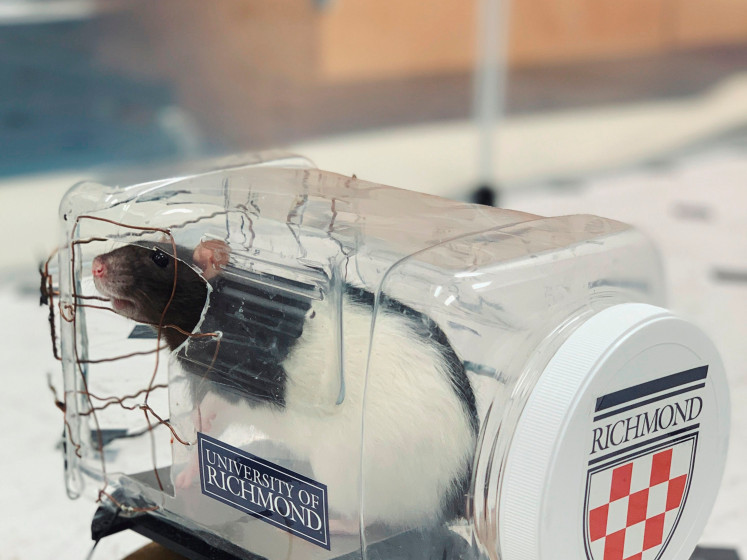 7sur7.be, l'actualité belge et internationale en temps réel | 7sur7.be