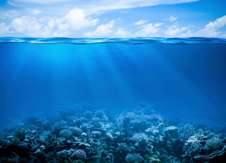 Oceanen op aarde zijn 24 biljoen dollar waard | Wetenschap & Planeet | HLN