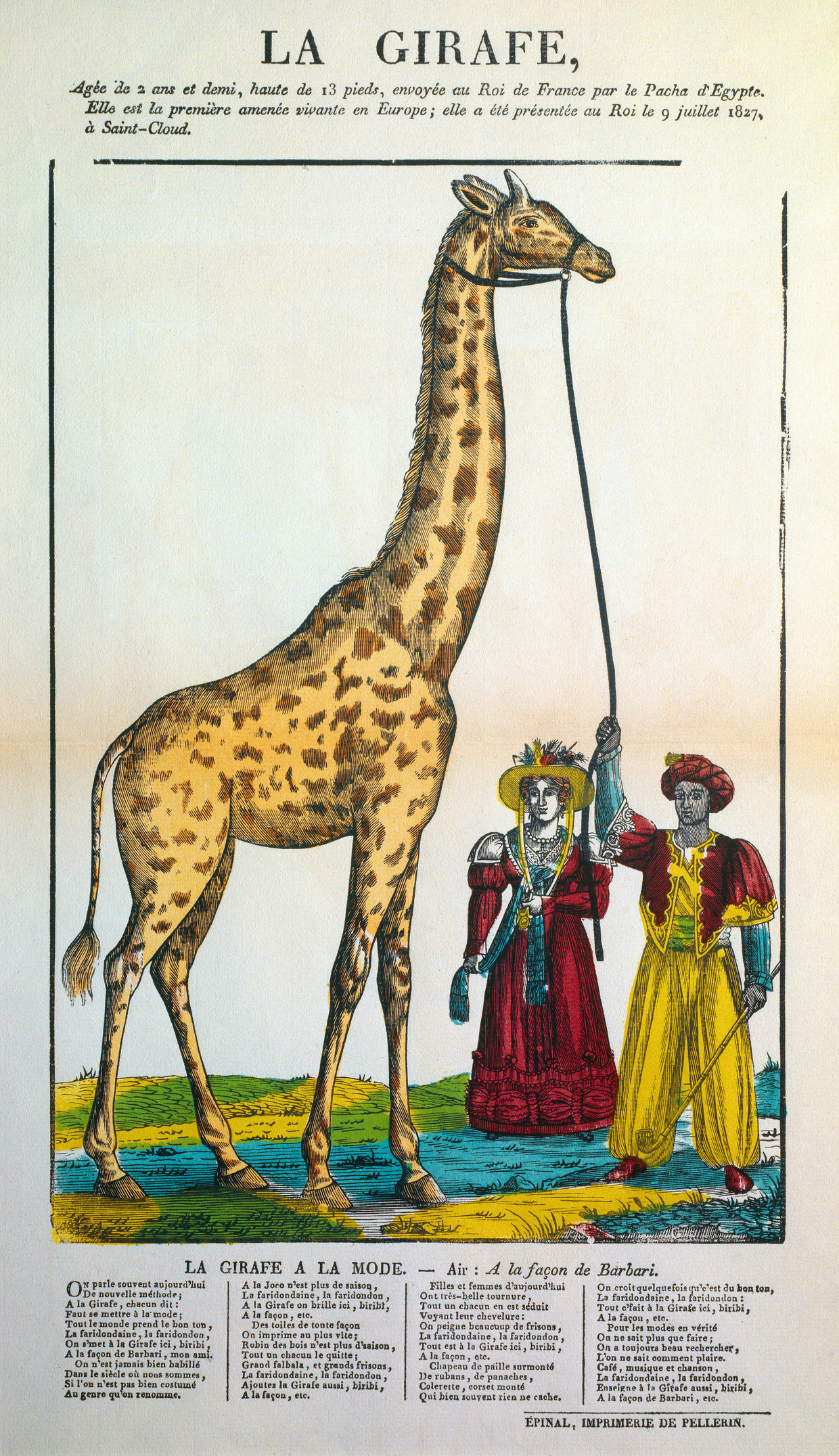 Zarafa zorgde in negentiende-eeuws Frankrijk voor een ware ...