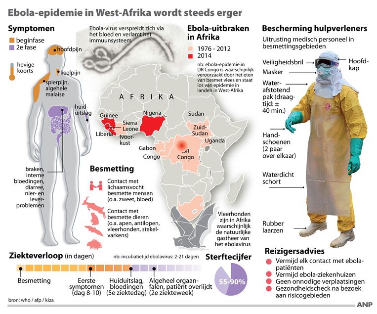 Ebola-epidemie te wijten aan 'één besmetting bij dier' | De Volkskrant