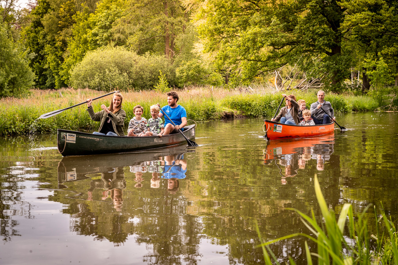 Raadsel rond dode waterplanten: Kribben bij Borkel moeten zorgen voor ...