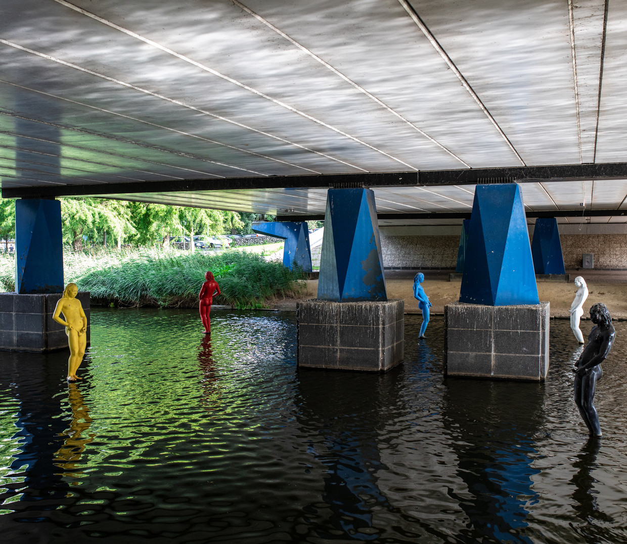 Deze 6 vrolijke wildplassers lijken op het water te lopen | Het Parool