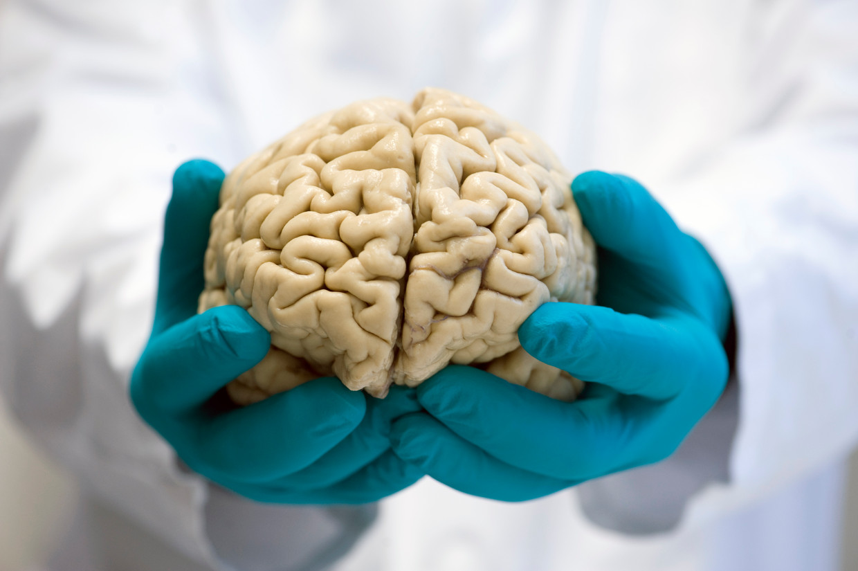 Waarom het onderzoeken van dode mensen zo belangrijk is voor de levende ...