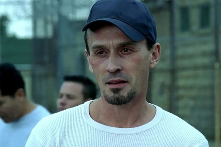 Ook Prison Break-ster Robert 'T-Bag' Knepper beschuldigd van aanranding ...