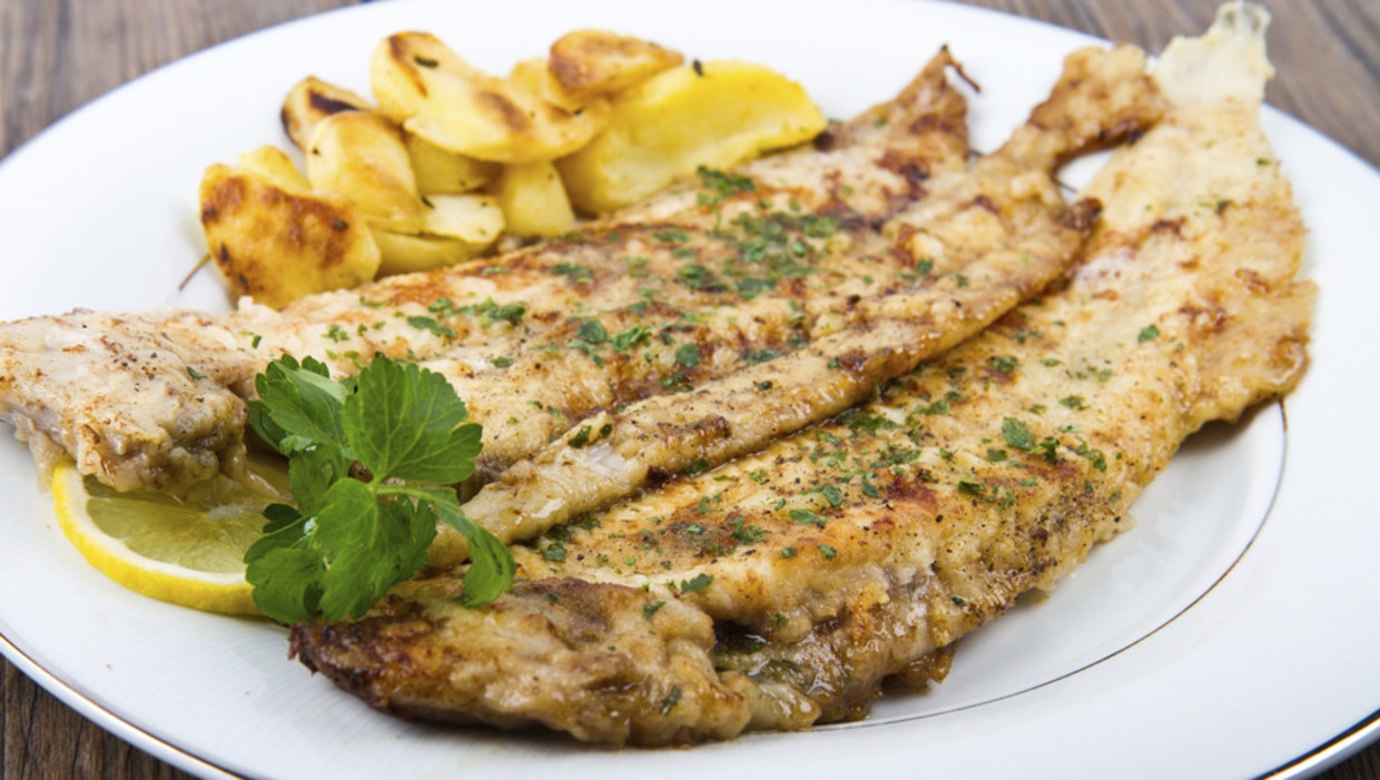 Zeetong is 'Vis van het Jaar' | De Morgen