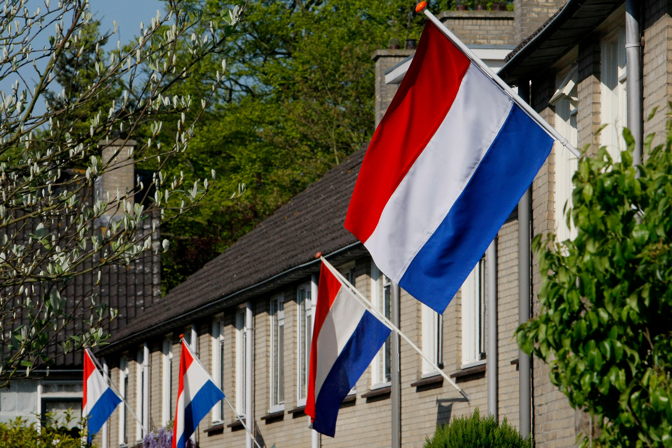 Waarom we moeten werken op Bevrijdingsdag | Foto | AD.nl