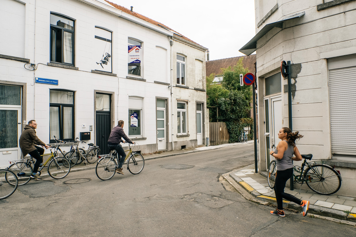 Leuvens beruchtste kotbazen Appeltans in de cel voor huisjesmelkerij ...