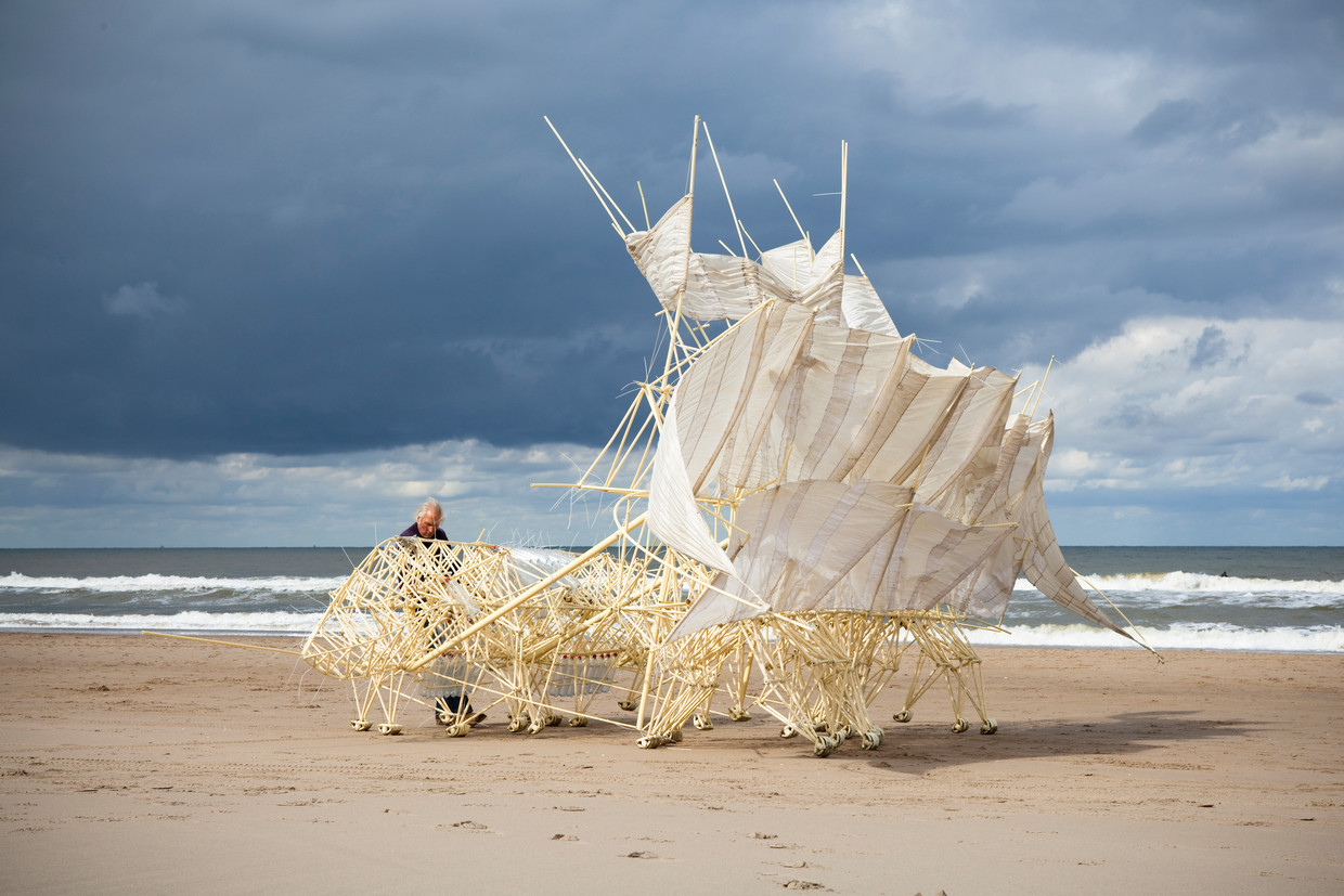 Magische strandbeesten: wanneer pvc tot leven komt | De Morgen